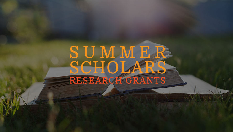 20 Faculty Members Receive Haslam Summer Scholars Research Grants ...