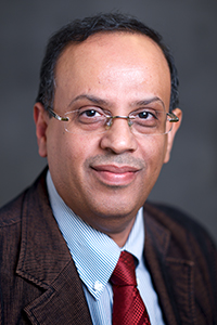 Youssef Al-Said - Haslam College of Business