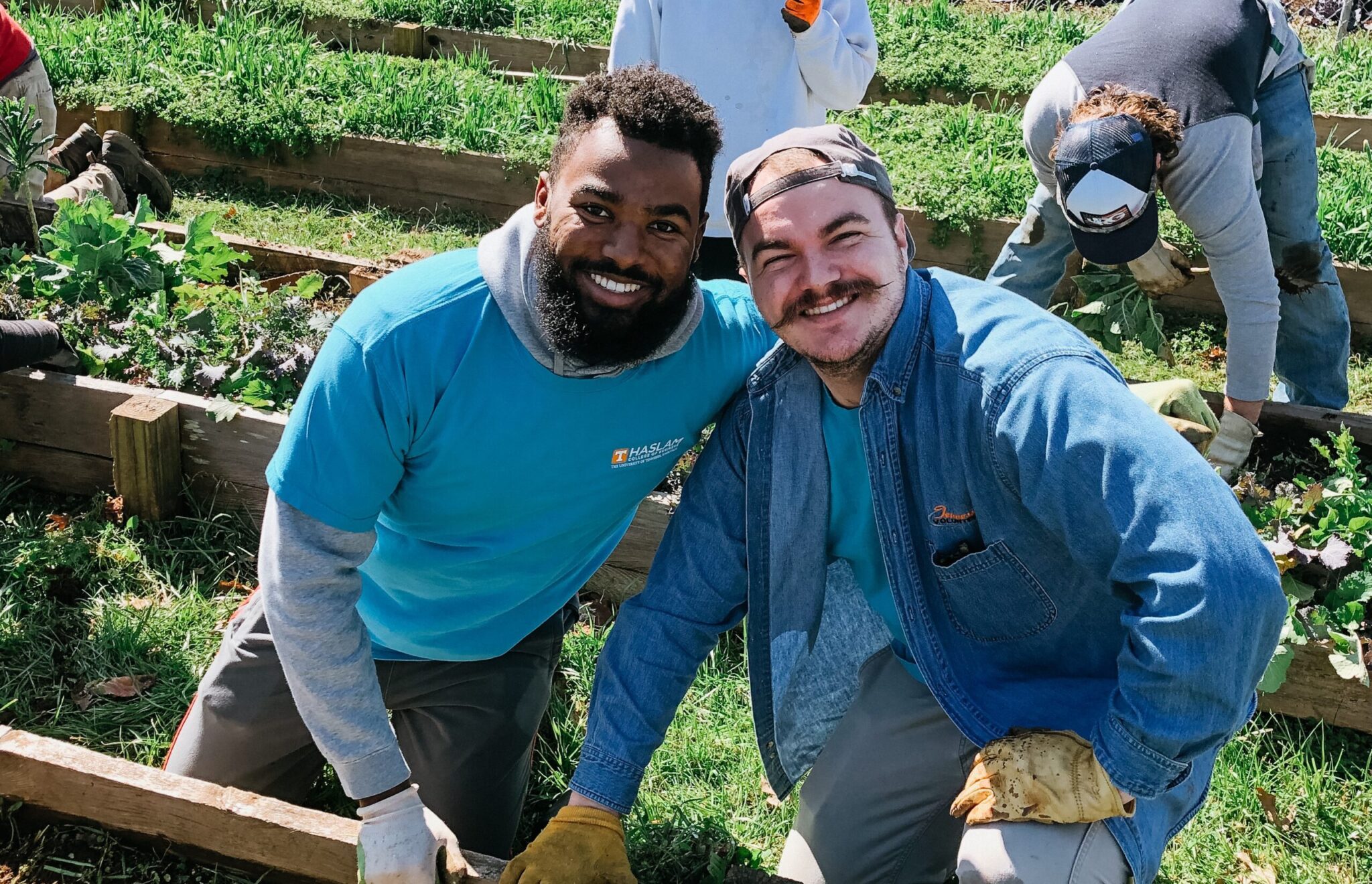 Undergraduate MAIN | Haslam College of Business